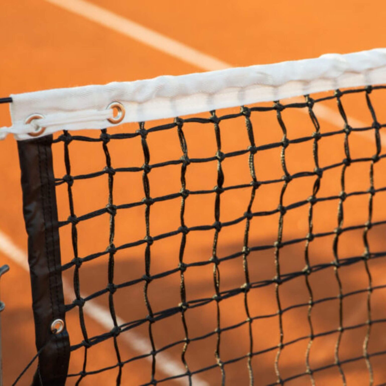 Fileu tenis, fir Ø 2.7 mm, 6 ochiuri duble - Arena Systems