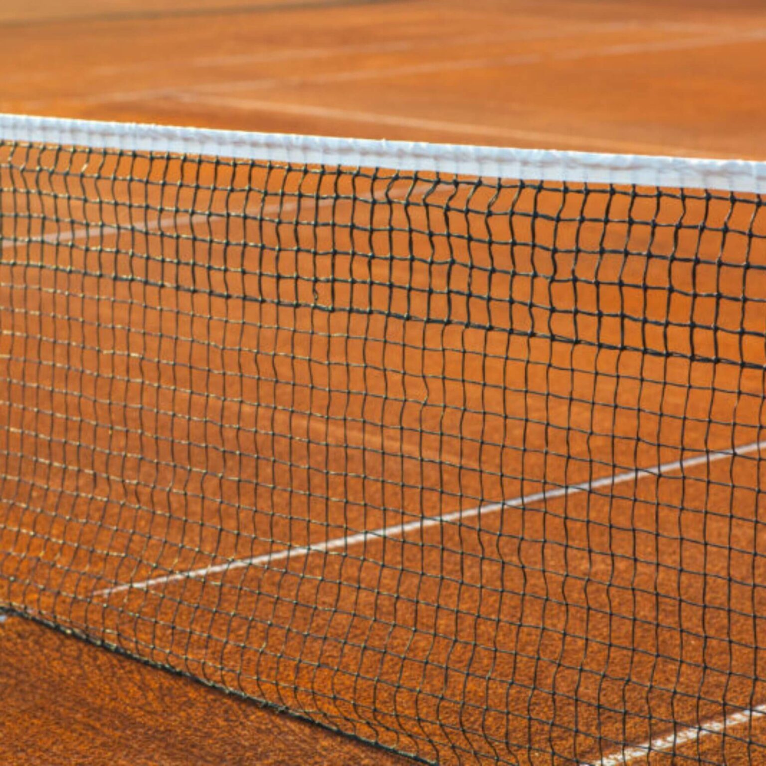 Fileu tenis, fir Ø 2.7 mm, 6 ochiuri duble - Arena Systems