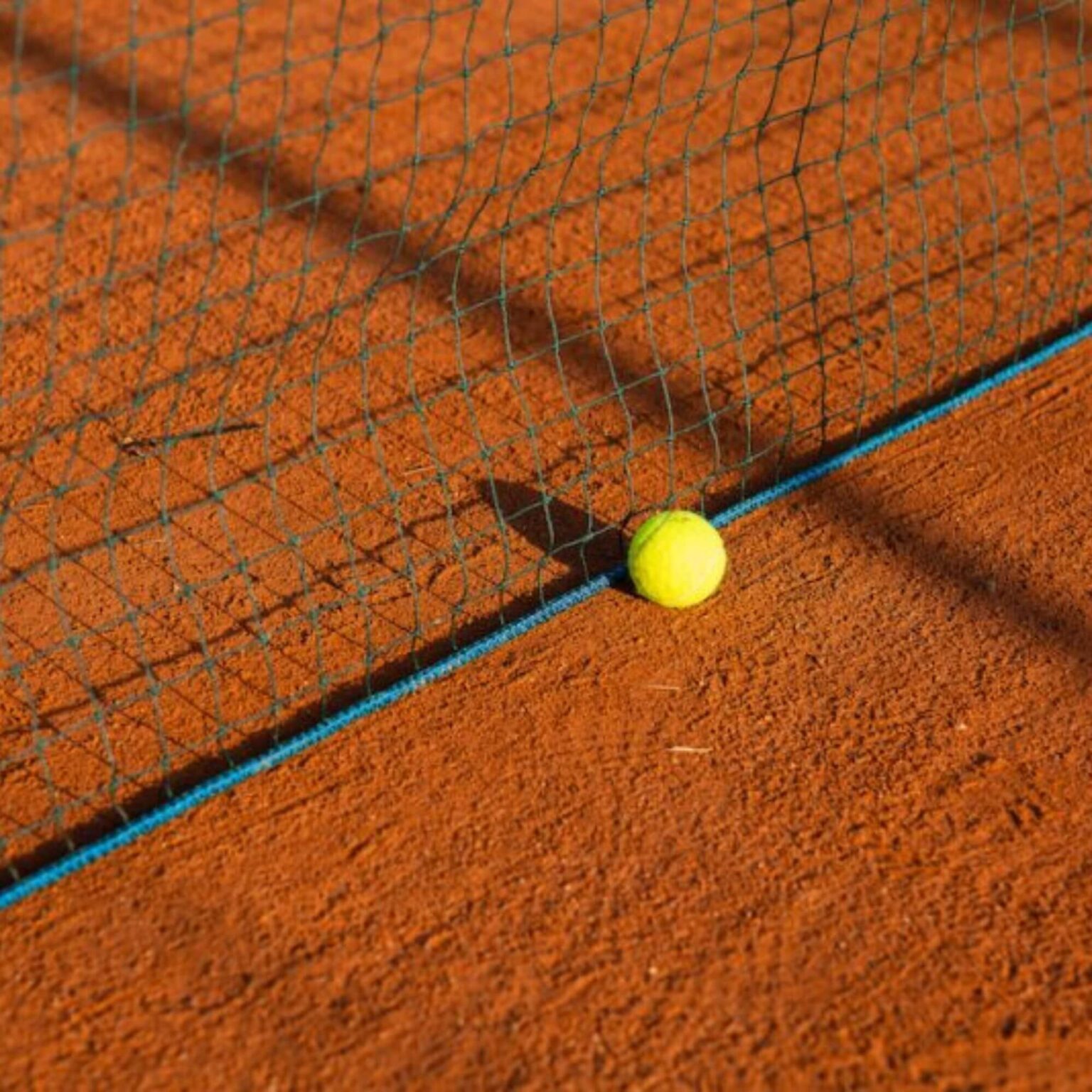 Plasa despartitoare teren tenis - Arena Systems